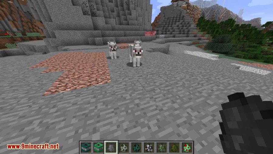 Ender Zoo Mod - 1Minecraft