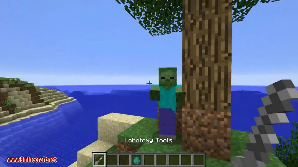 Lobotomy Mod - 1Minecraft