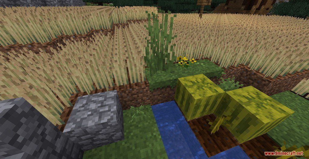 Better Nature Resource Pack - 1Minecraft
