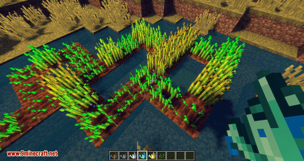 Ct Watercan Mod - 1Minecraft