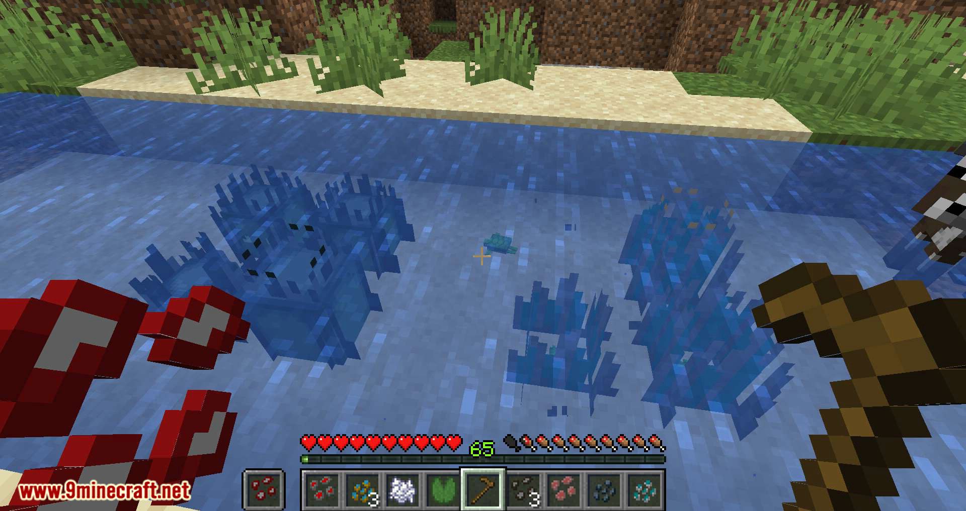 Animal Crops Mod - 1Minecraft