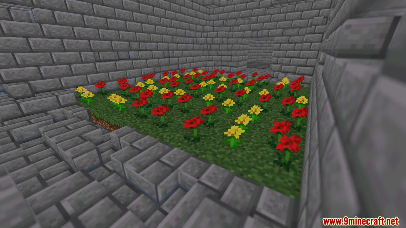 Liontacks Small Mazes Map - 1Minecraft