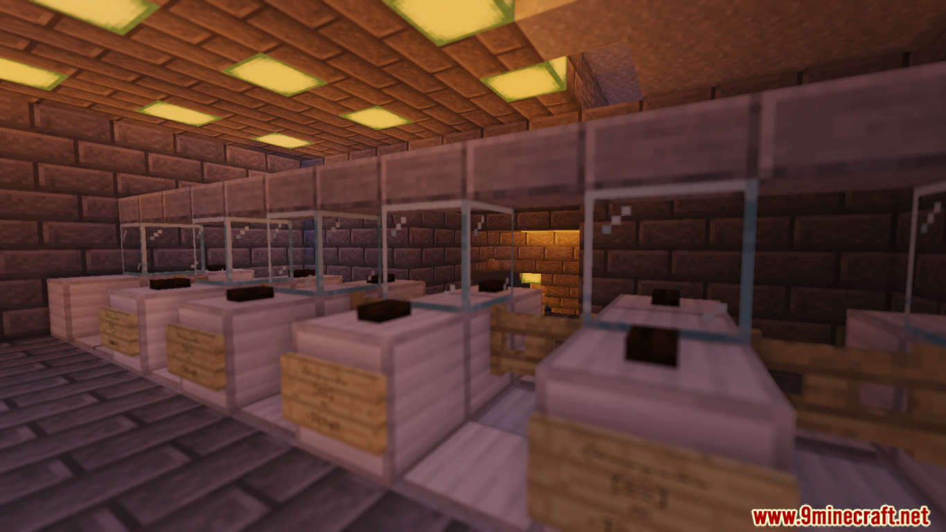 Why Did I Become A Harem Anime Protagonist Map - 1Minecraft