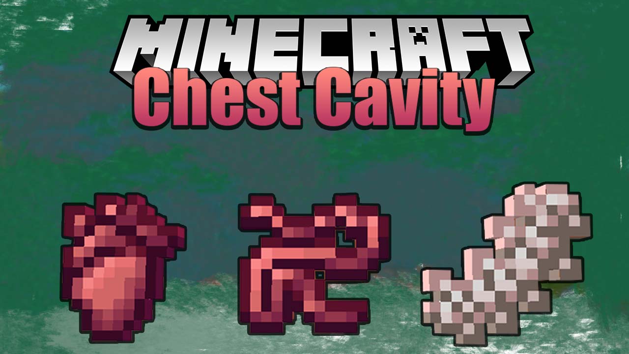 Chest Cavity Mod - 1Minecraft