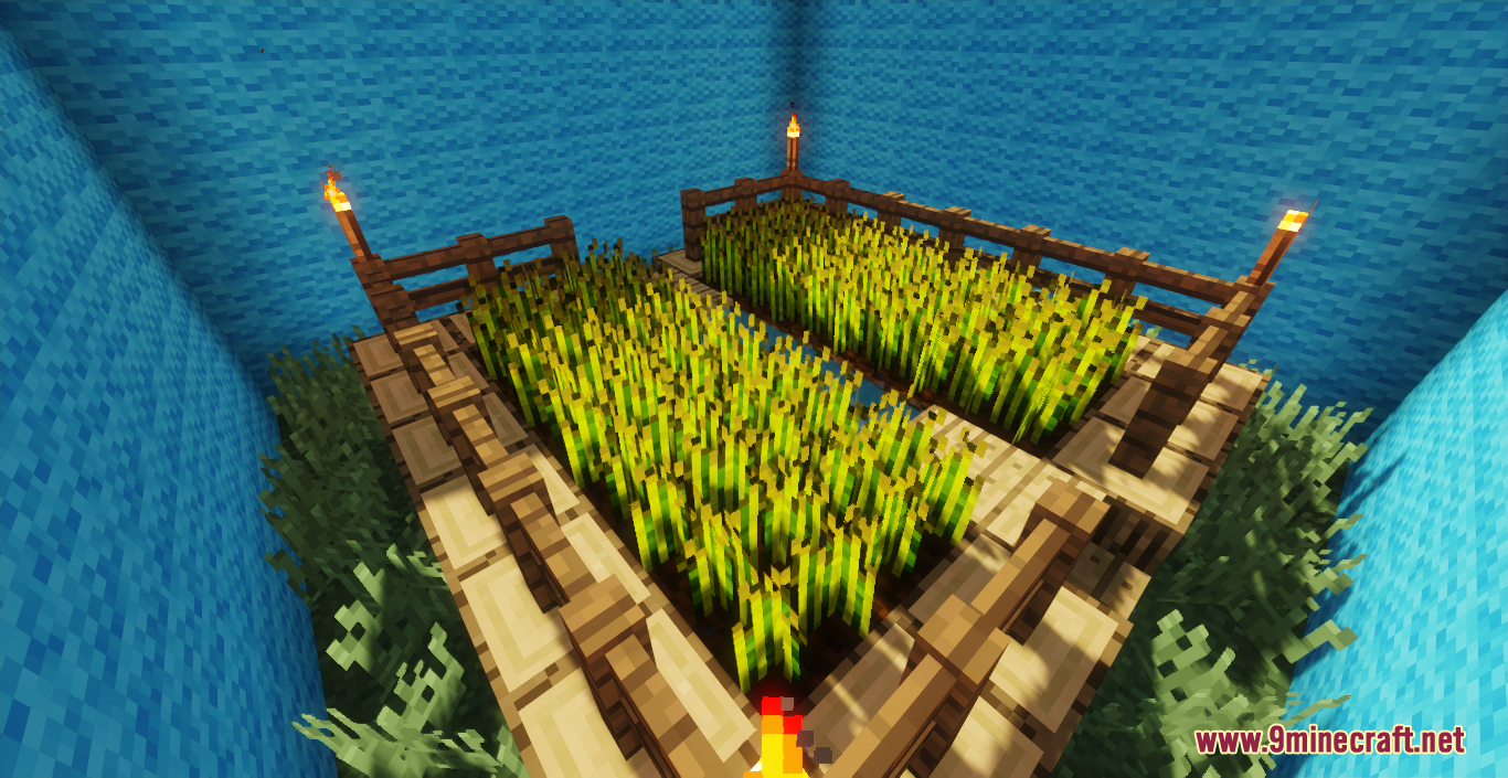 Find The Button Map - 1Minecraft