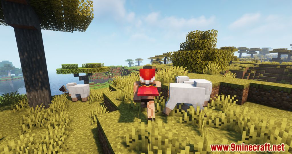 Wavey Capes Mod - 1Minecraft