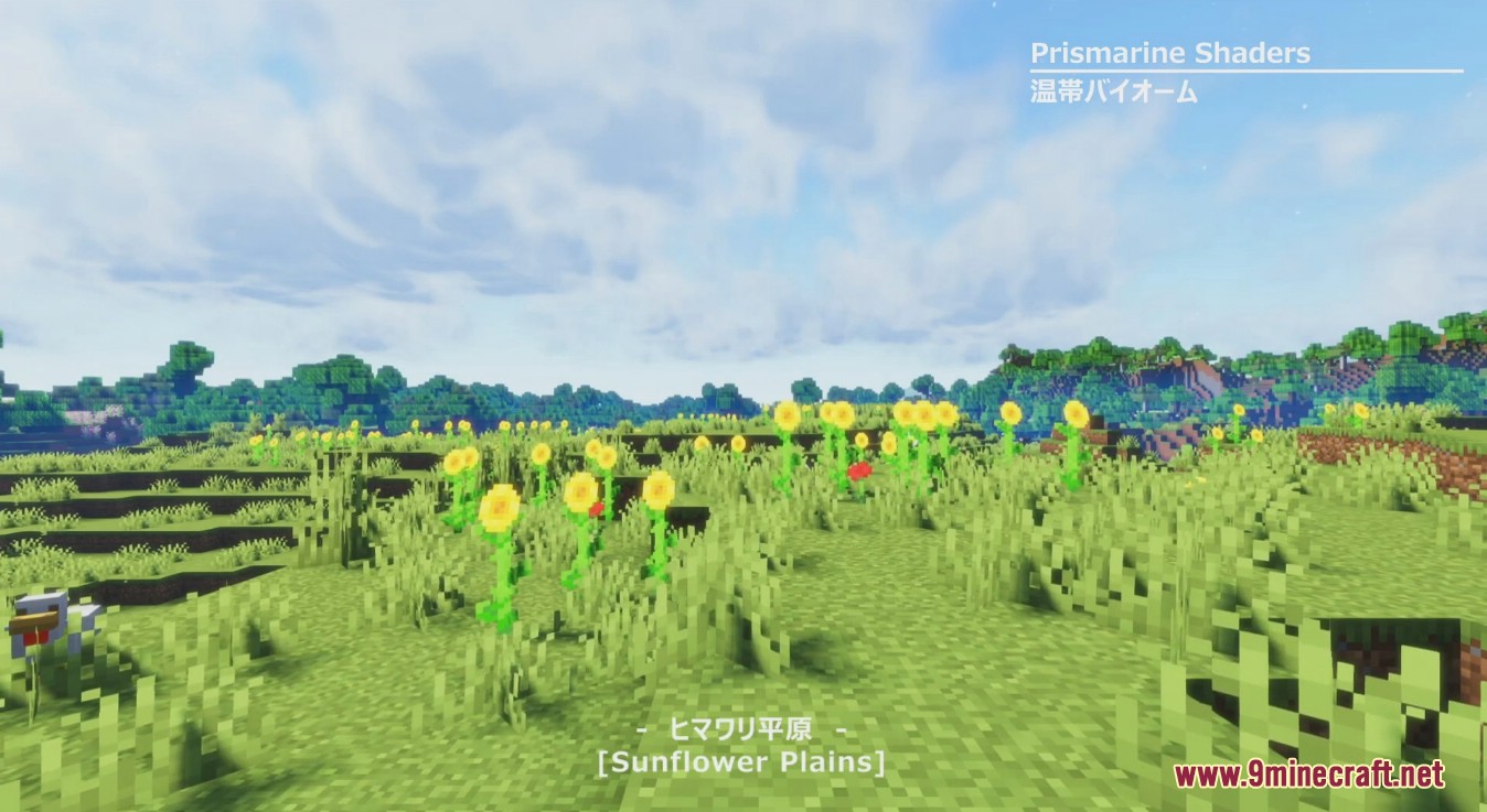 Prismarine Shaders - 1Minecraft