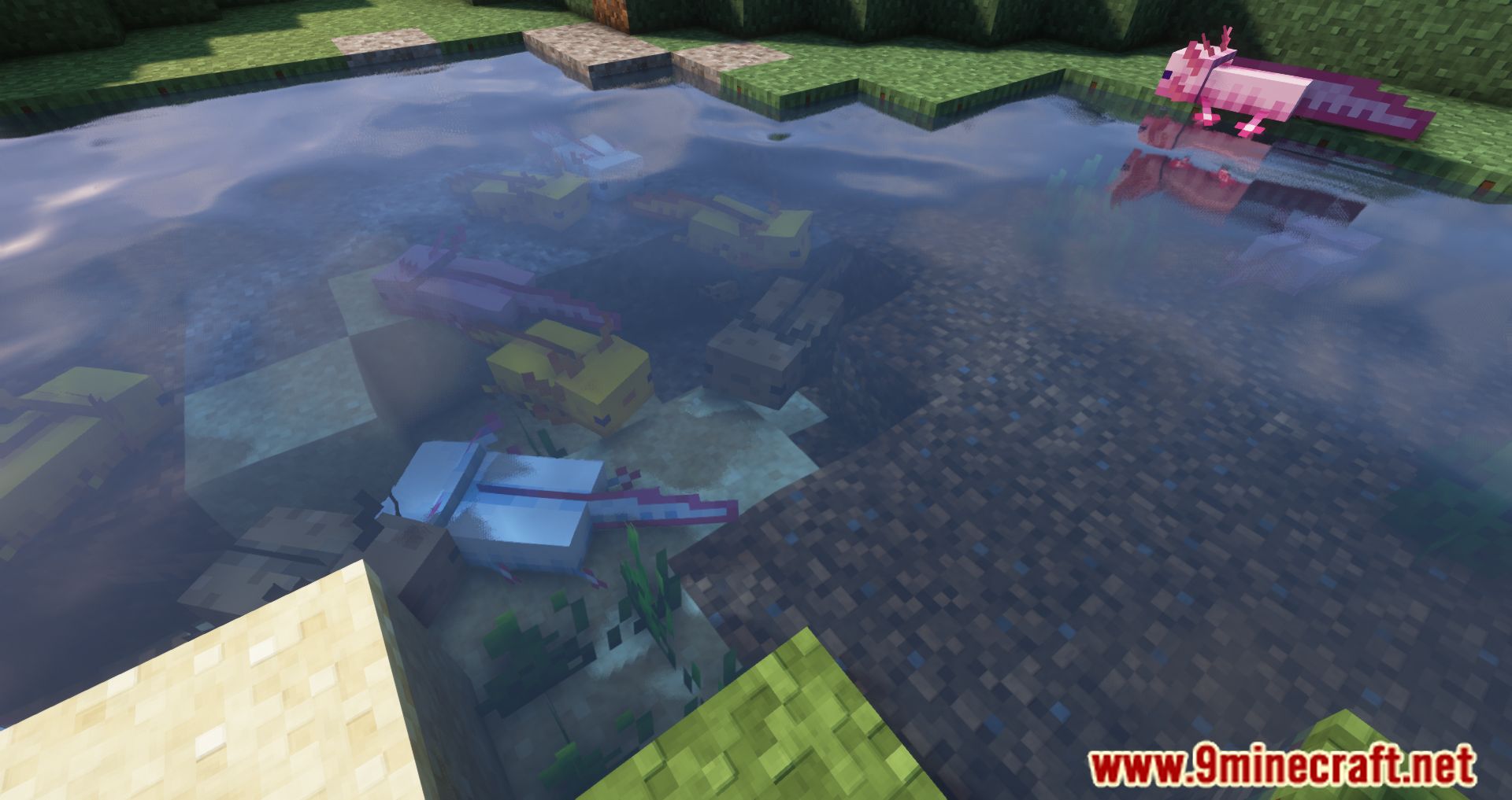 Axolotl Bucket Fix Mod - 1Minecraft