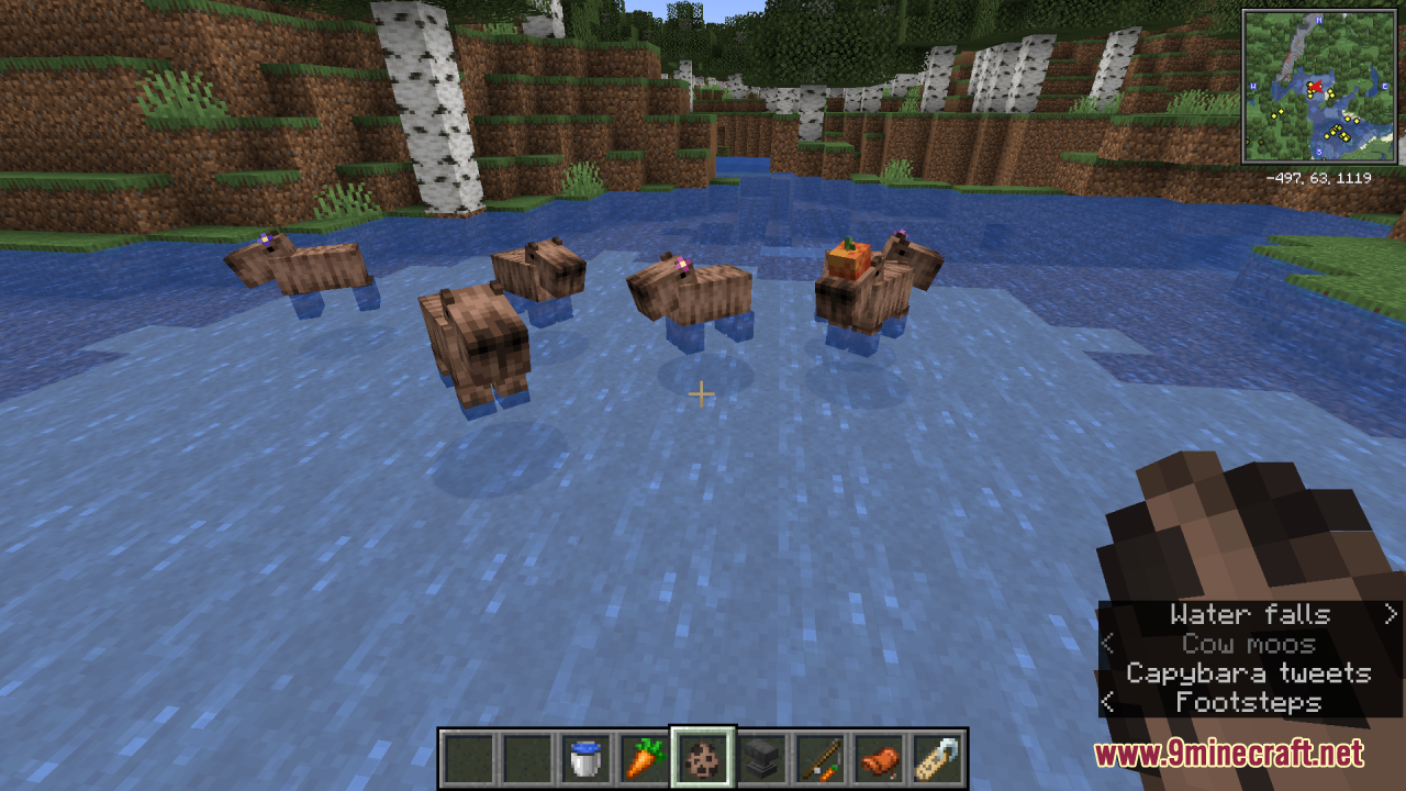 Capybara Resource Pack - 1Minecraft