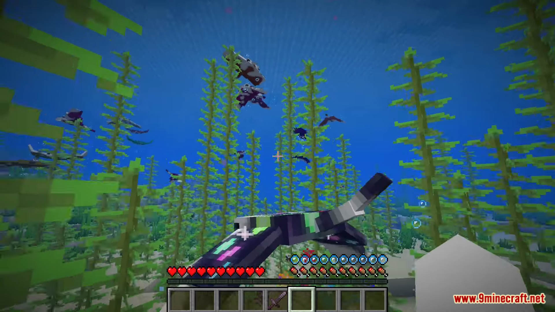 Manta Rays Data Pack - 1Minecraft
