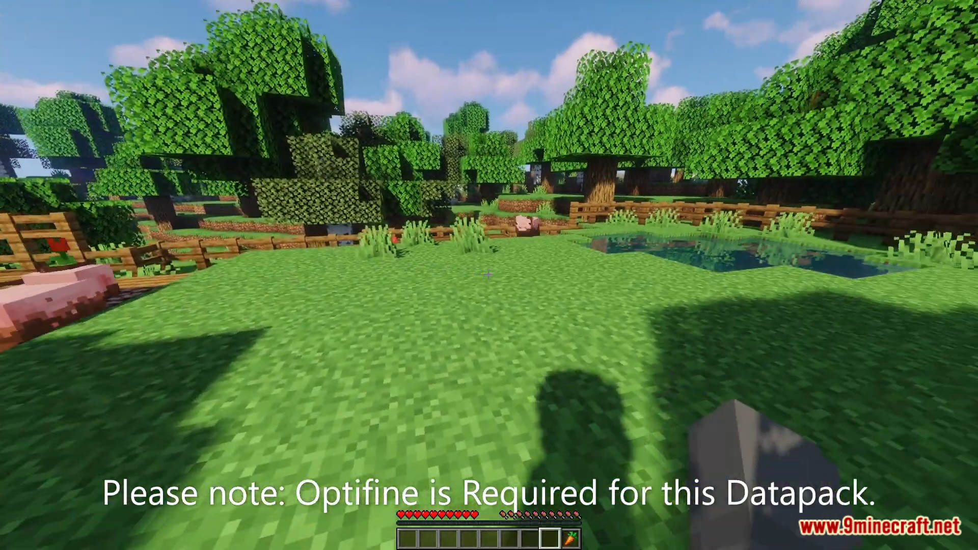 Muddy Pigs Data Pack - 1Minecraft