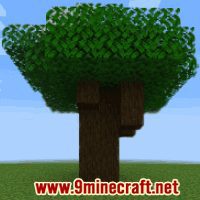 Dark Forest Hills Biome Wiki Guide - 1Minecraft