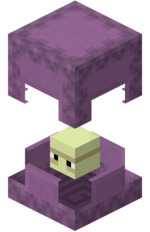 The End Biome Wiki Guide - 1Minecraft