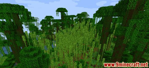 Bamboo Jungle Seeds Wiki Guide - 1Minecraft