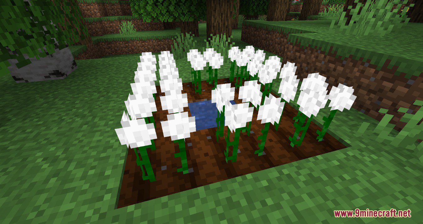 Cottonly Mod - 1Minecraft