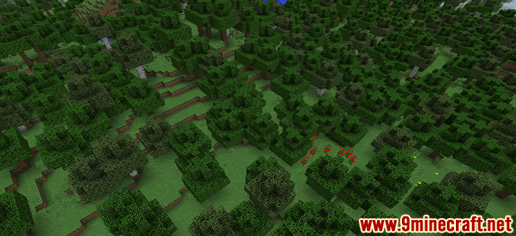 Oak Sapling Wiki Guide - 1Minecraft