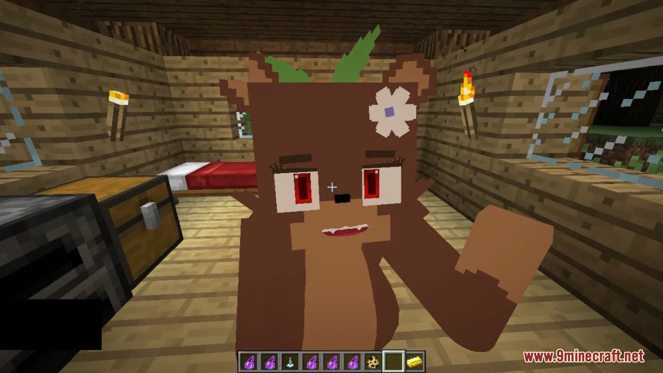 Jenny Mod - 1Minecraft