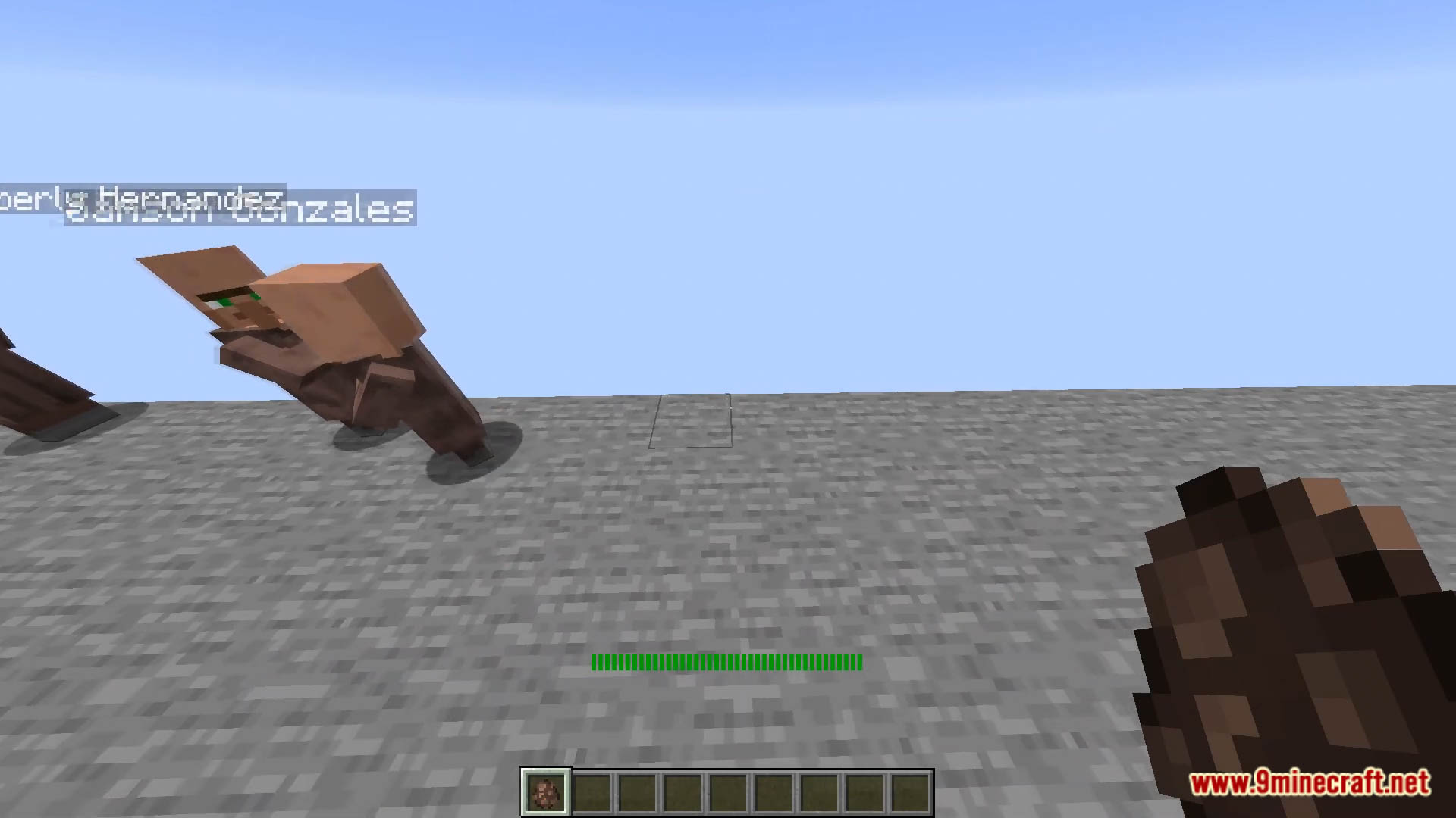 Wasd Random Villager Names Data Pack - 1Minecraft