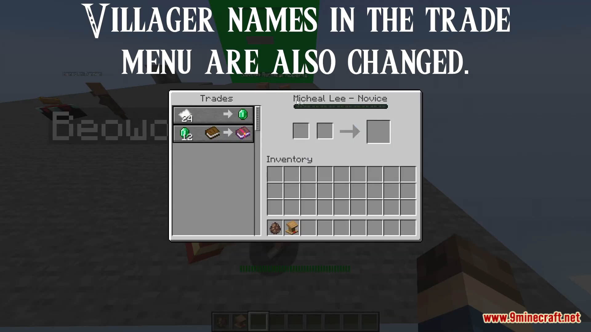 Wasd Random Villager Names Data Pack - 1Minecraft