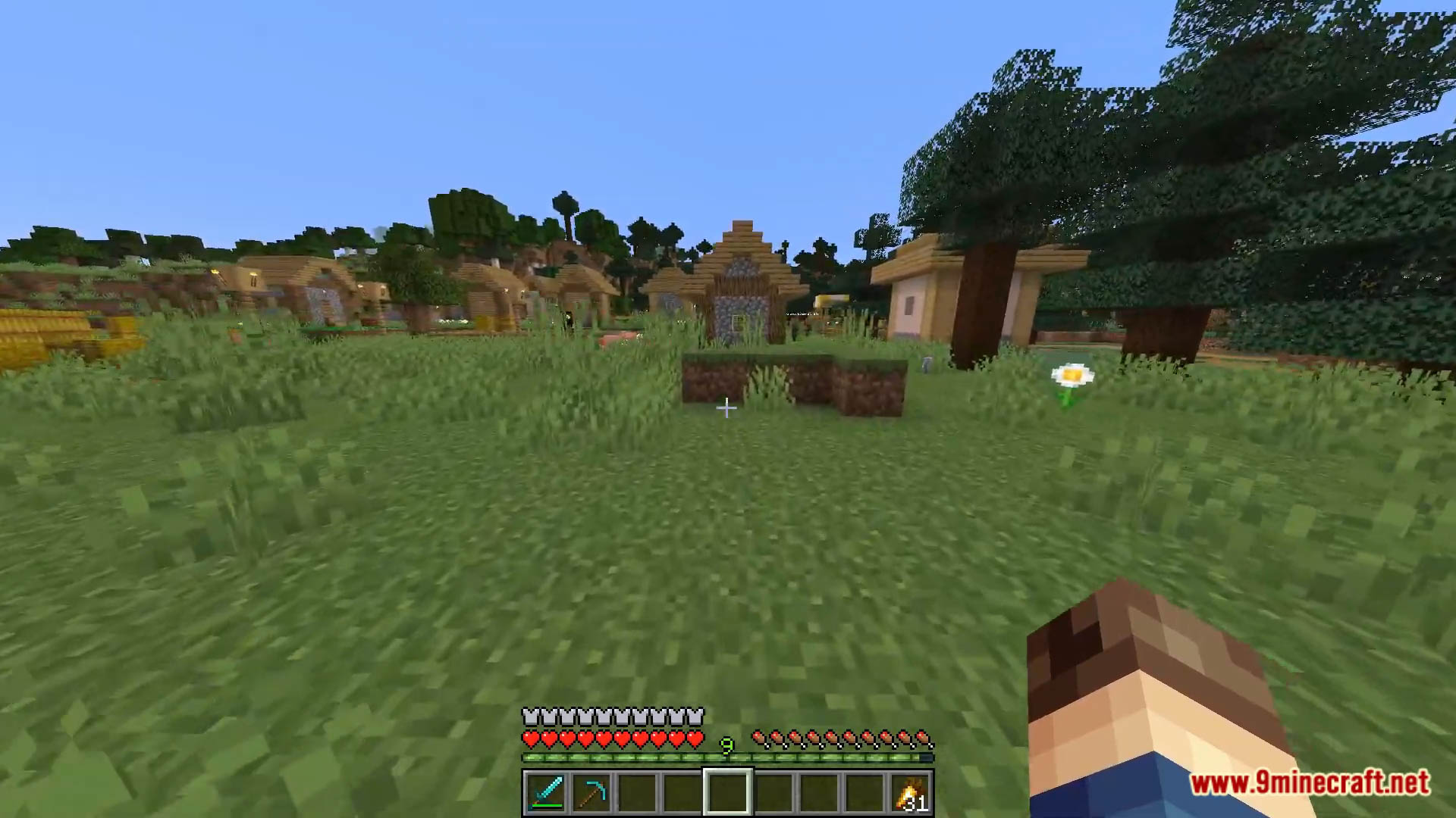 Wasd Random Villager Names Data Pack - 1Minecraft