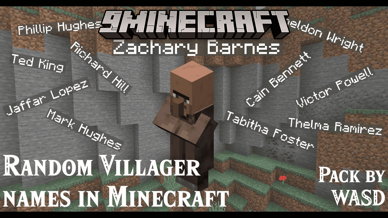 Wasd Random Villager Names Data Pack - 1Minecraft