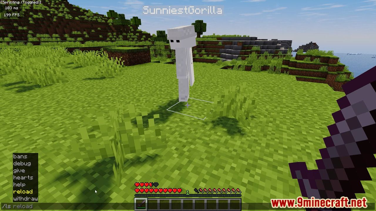 Lifesteal Smp Plugin - 1Minecraft