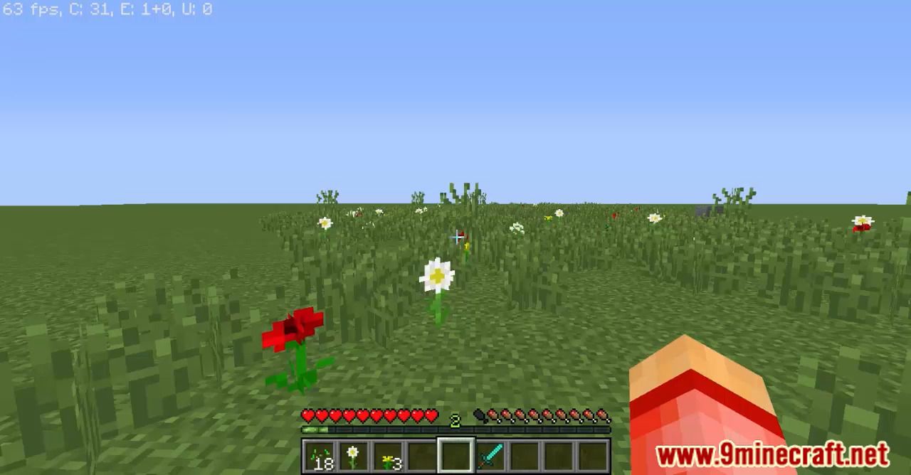 Zeldagrass Plugin - 1Minecraft