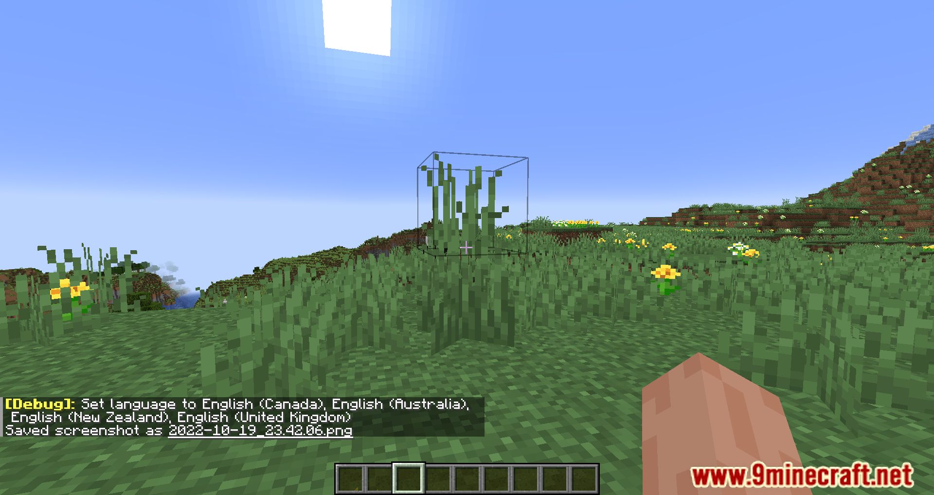 Language Reload Mod - 1Minecraft