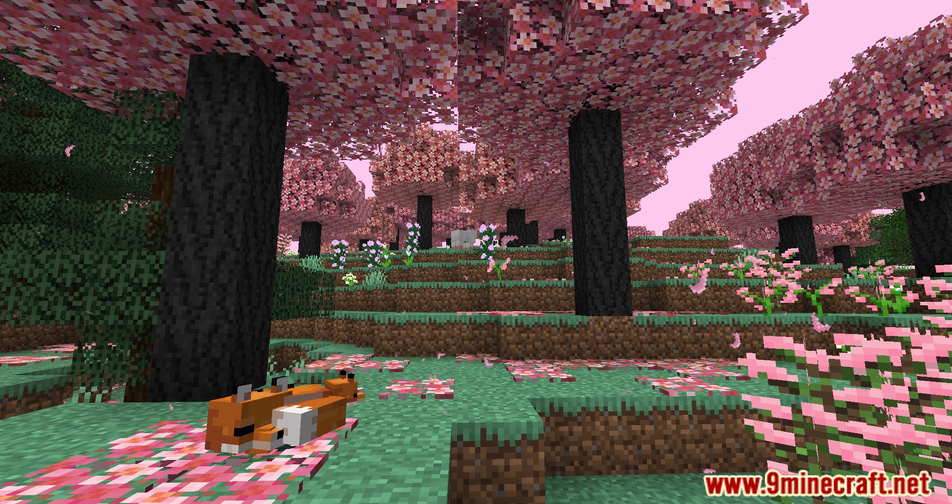 Pink Mod - 1Minecraft
