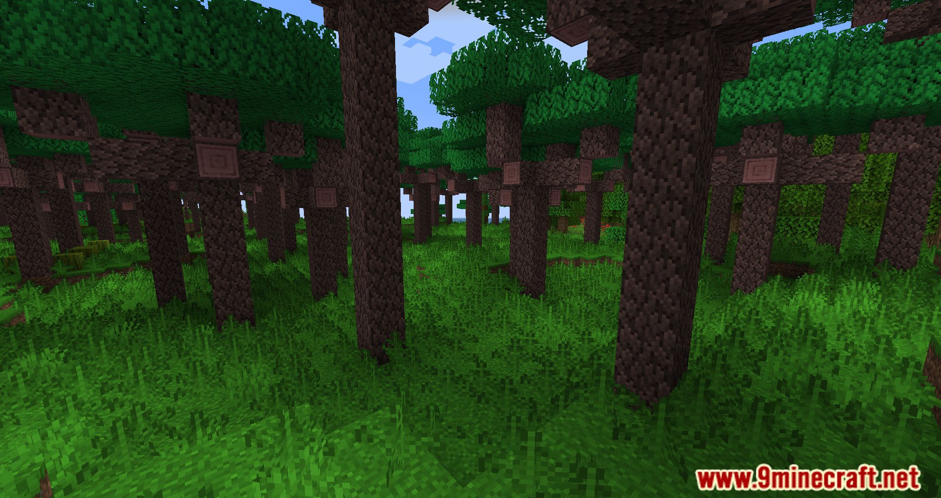 Slightly Flavoured Modpack - 1Minecraft