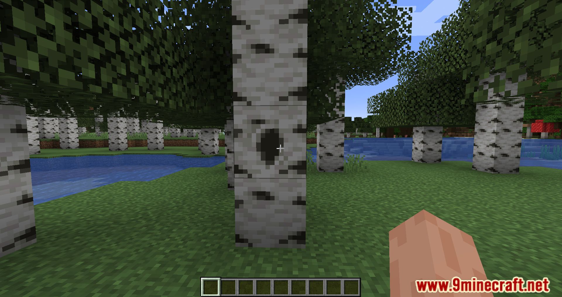 Tree Hollows Mod - 1Minecraft