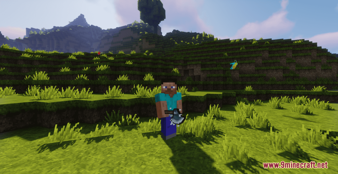 Cocricot Resource Pack - 1Minecraft