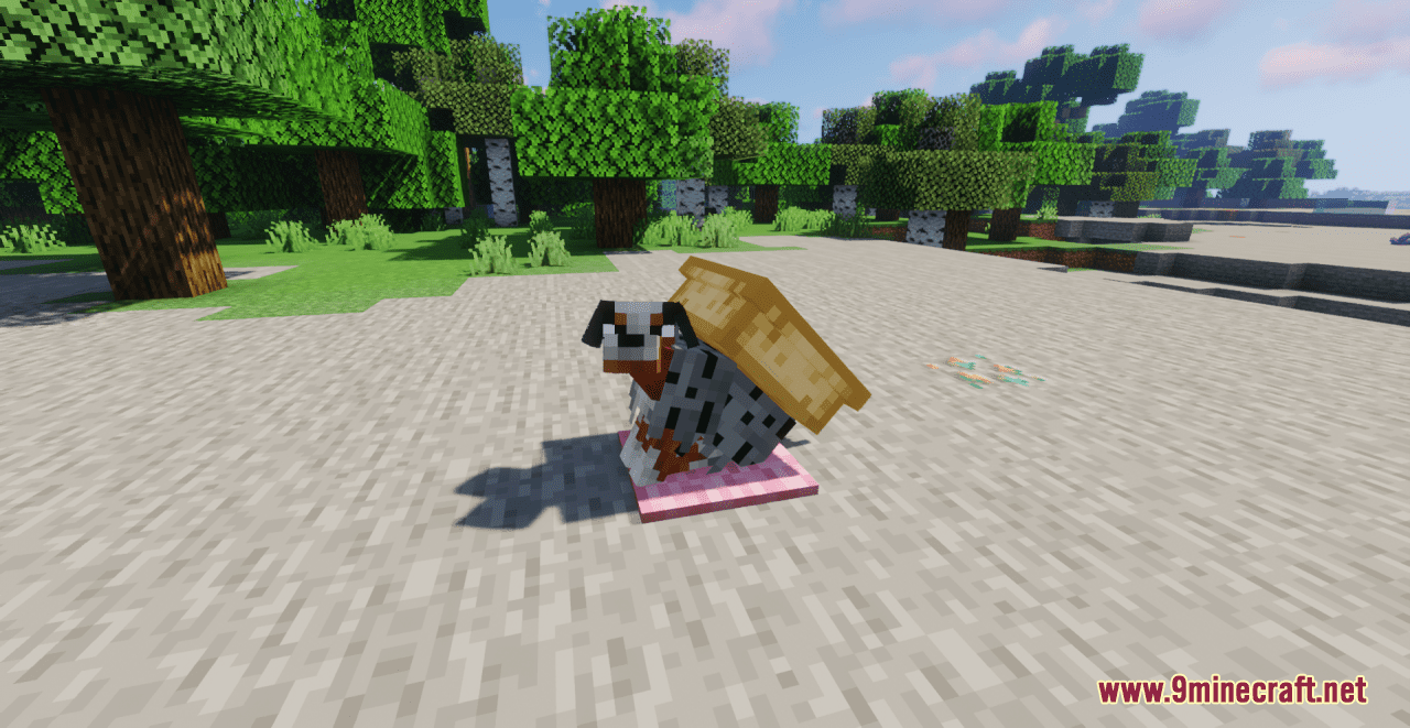 Party Pups Resource Pack - 1Minecraft