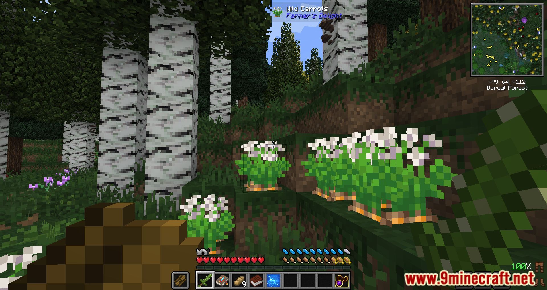 Roguelike Adventures And Dungeons 2 Modpack - 1Minecraft