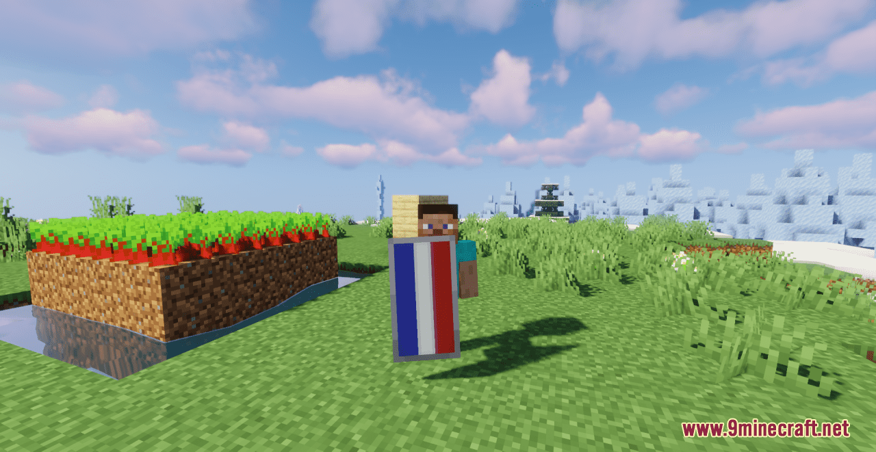 Shield Corrections Resource Pack - 1Minecraft