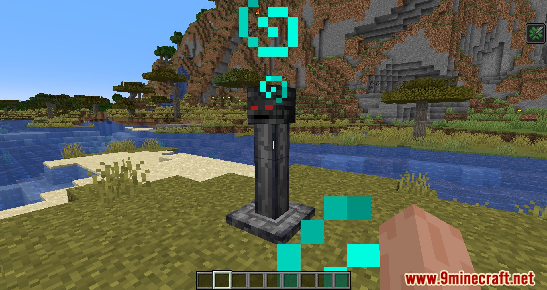 Wither Skeleton Totem Mod - 1Minecraft