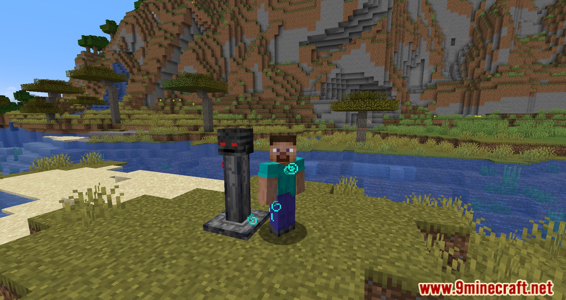 Wither Skeleton Totem Mod - 1Minecraft