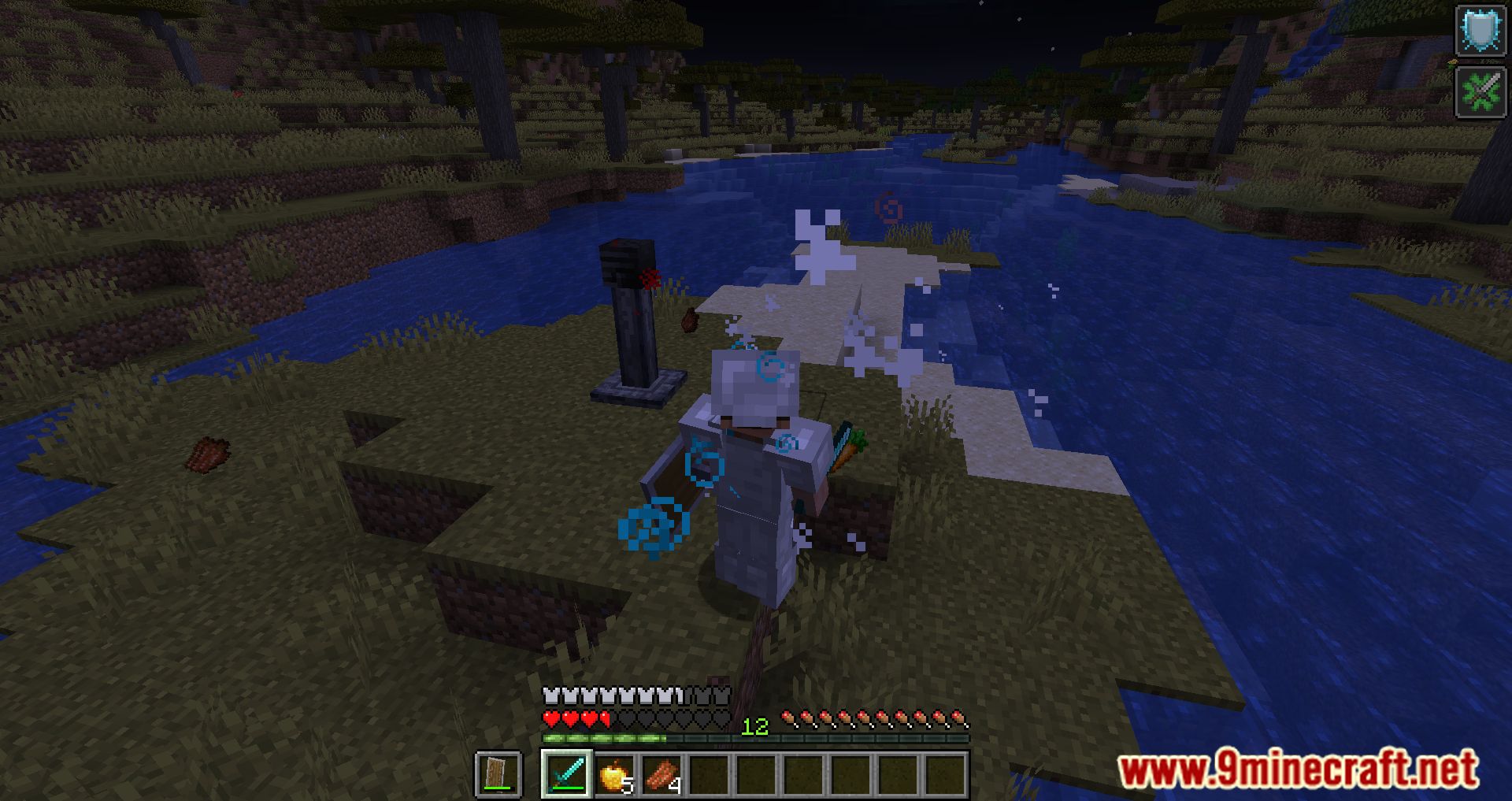 Wither Skeleton Totem Mod - 1Minecraft