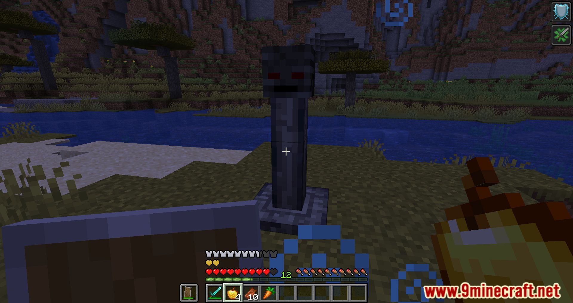 Wither Skeleton Totem Mod - 1Minecraft