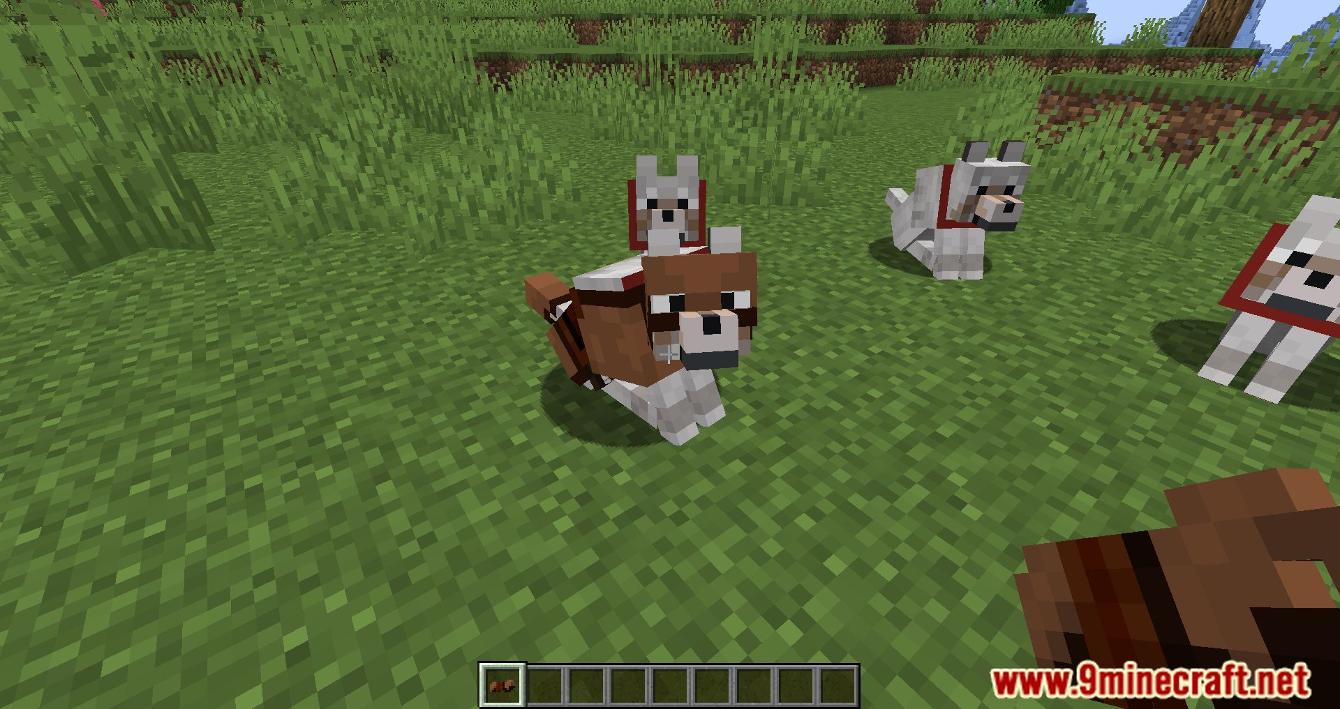 Wolf Armor Compat Mod - 1Minecraft