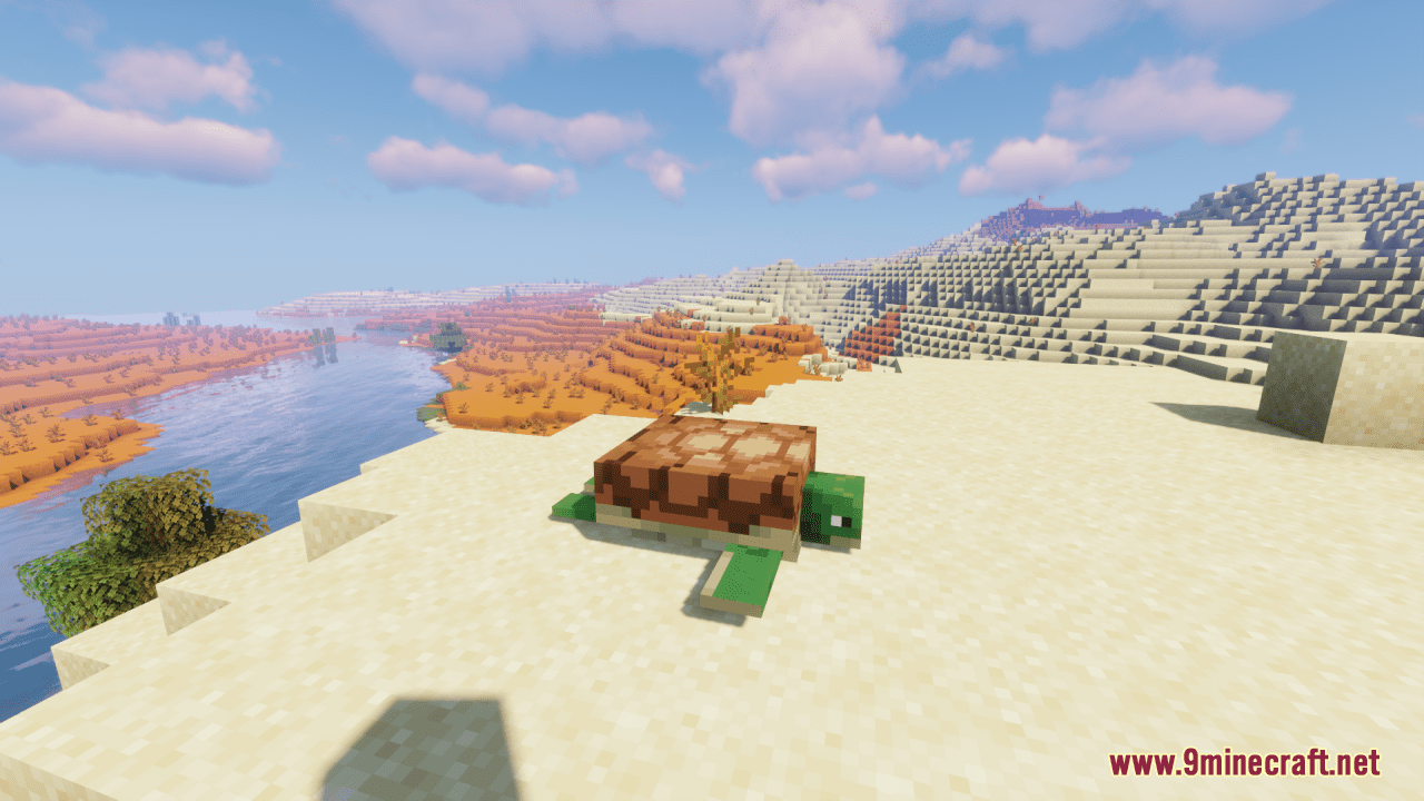 Better Turtle Variants Resource Pack - 1Minecraft