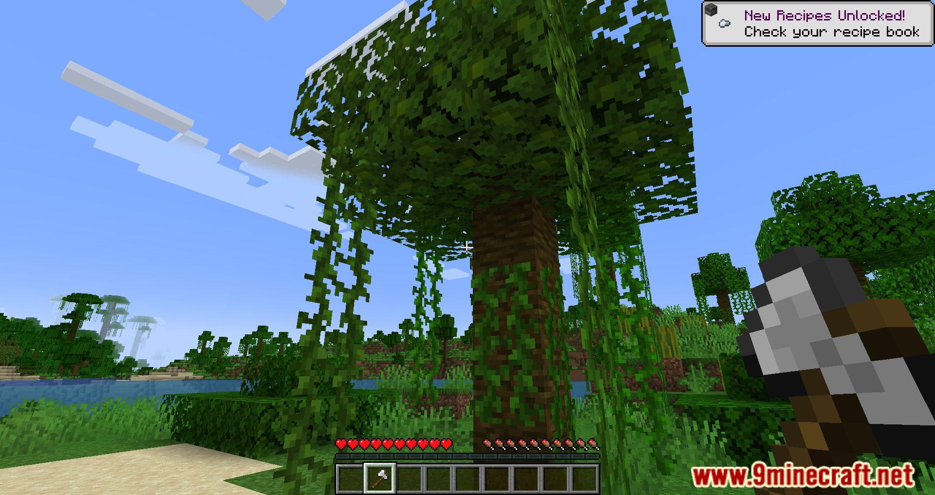Fabric Tree Chopper Mod - 1Minecraft