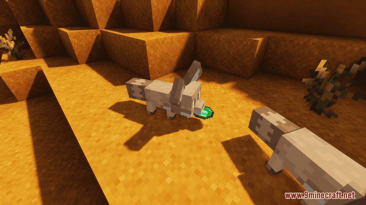 Fennec Fox Resource Pack - 1Minecraft