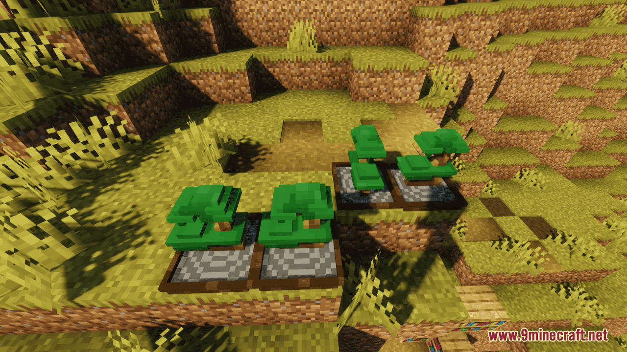 Minecraft Bonsai Trees Resource Pack - 1Minecraft