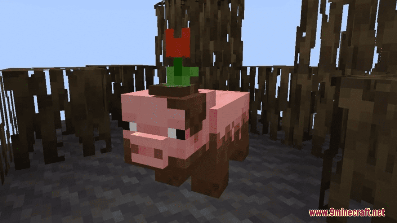Muddy Pig Resource Pack - 1Minecraft