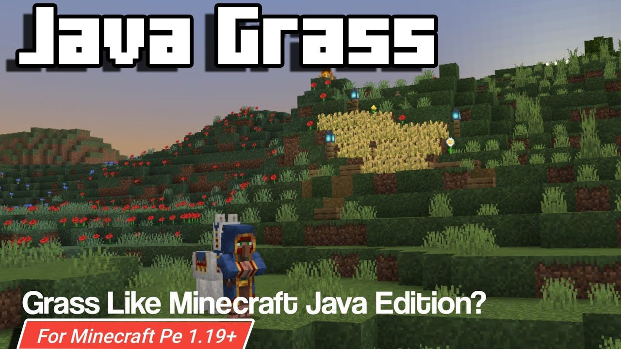 Java Grass Texture Pack Mcpe - 1Minecraft