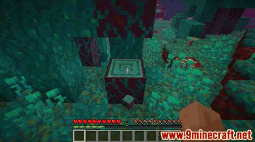 Warped Stem Wiki Guide - 1Minecraft