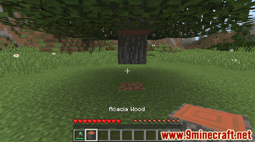 Acacia Log Wiki Guide - 1Minecraft