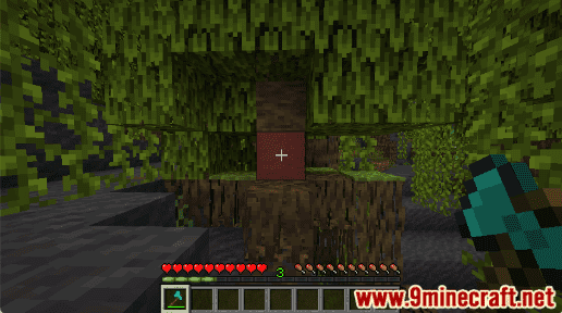 Stripped Mangrove Log Wiki Guide - 1Minecraft