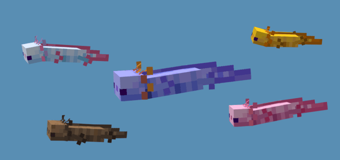 Better Axolotls Texture Pack Mcpe - 1Minecraft
